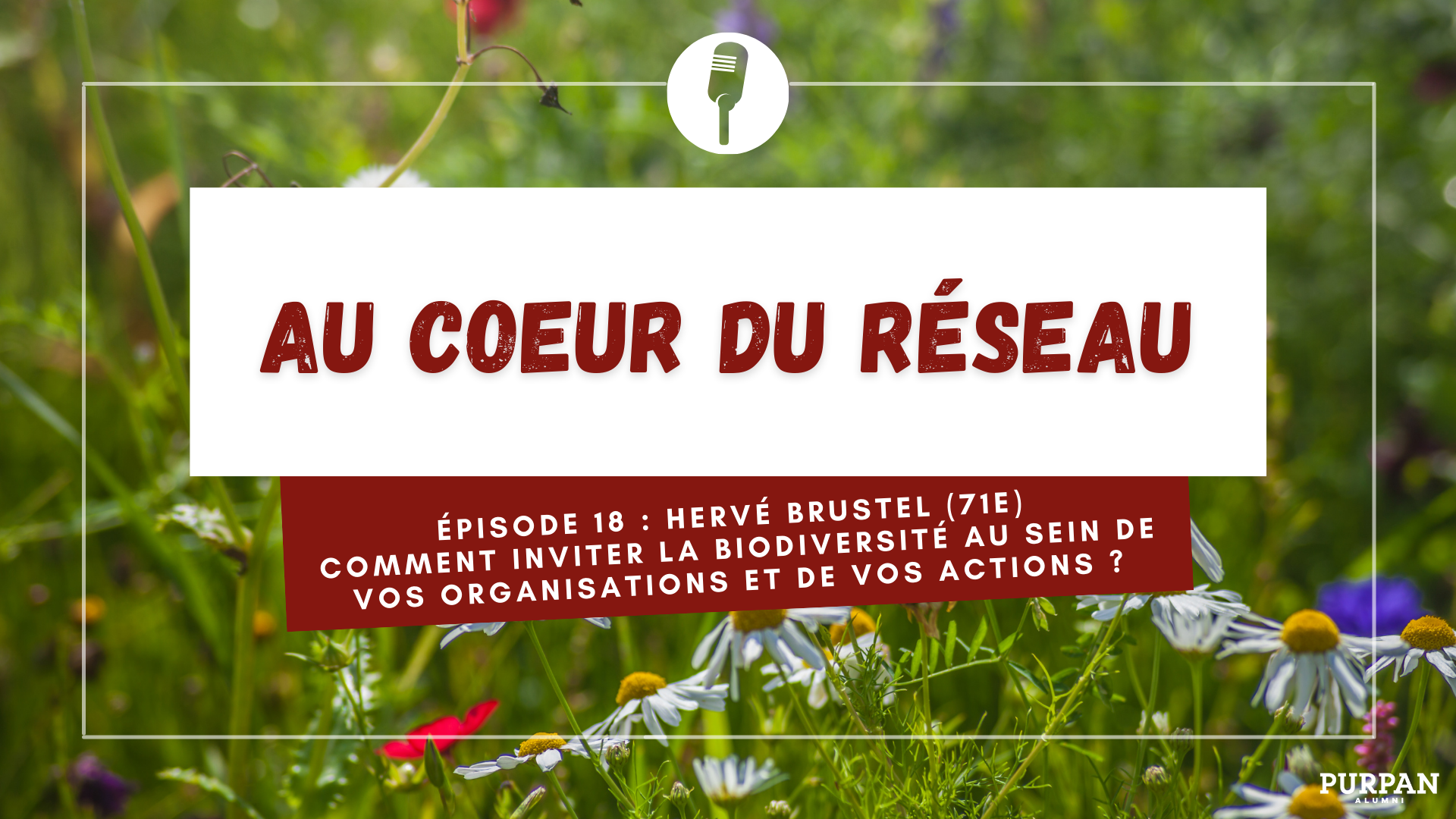 [AU COEUR DU RÉSEAU] Épisode #18 : Hervé BRUSTEL (71e) - Comment ...