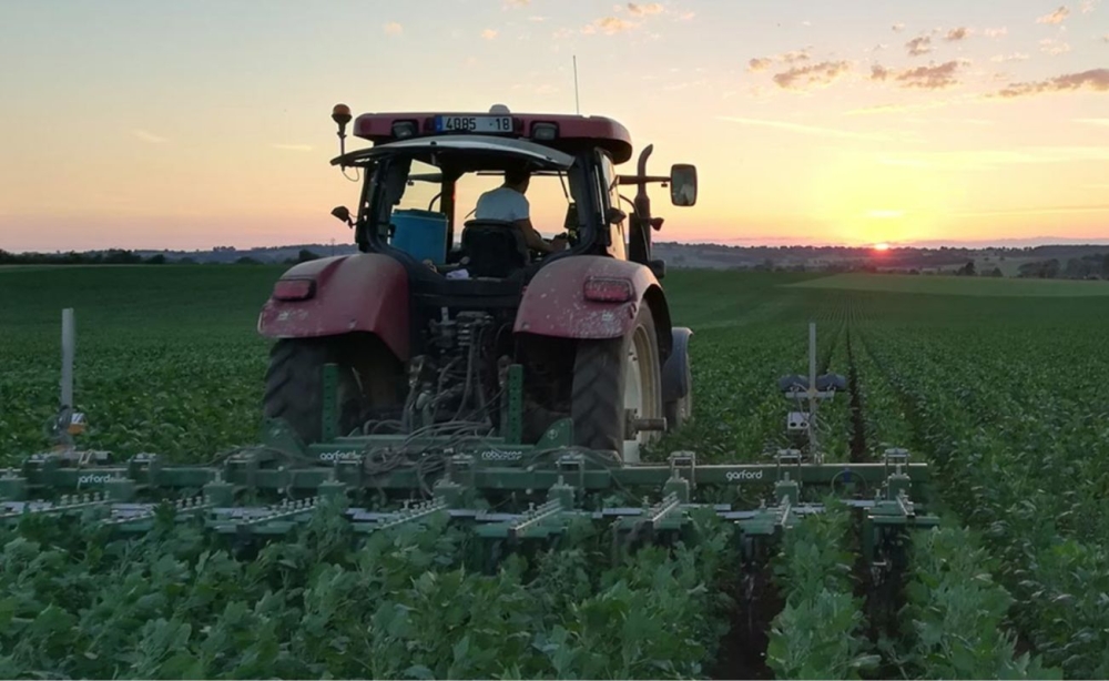 Berry Graines, l'entreprise de "supergraines" en circuit court de ...