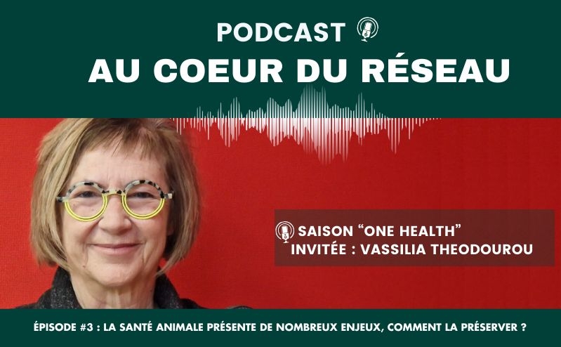 PODCAST - Vassilia THEODOUROU : Et si votre intestin dirigeait votre ...